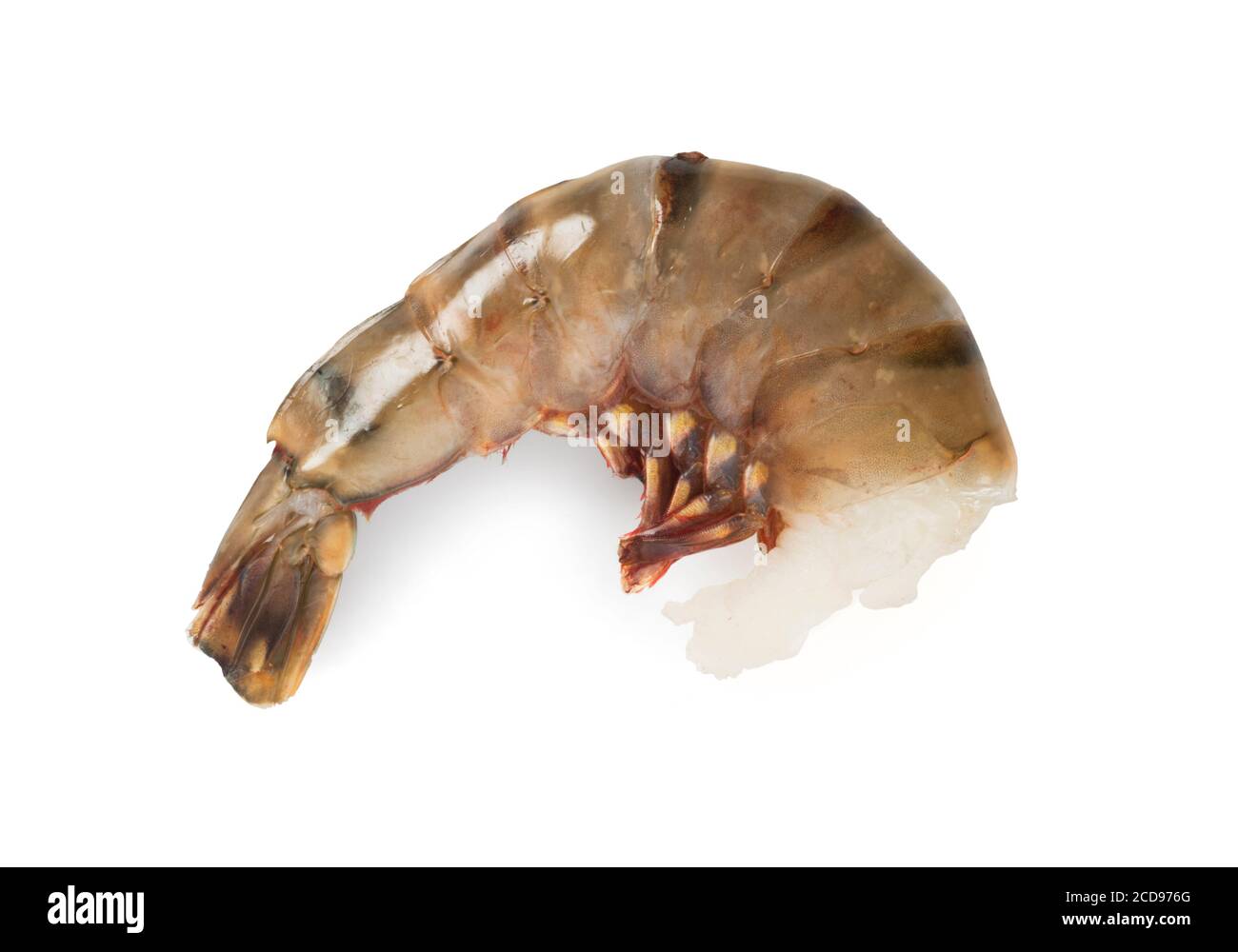 Studio shot of raw tiger prawns cut out against a white background ...