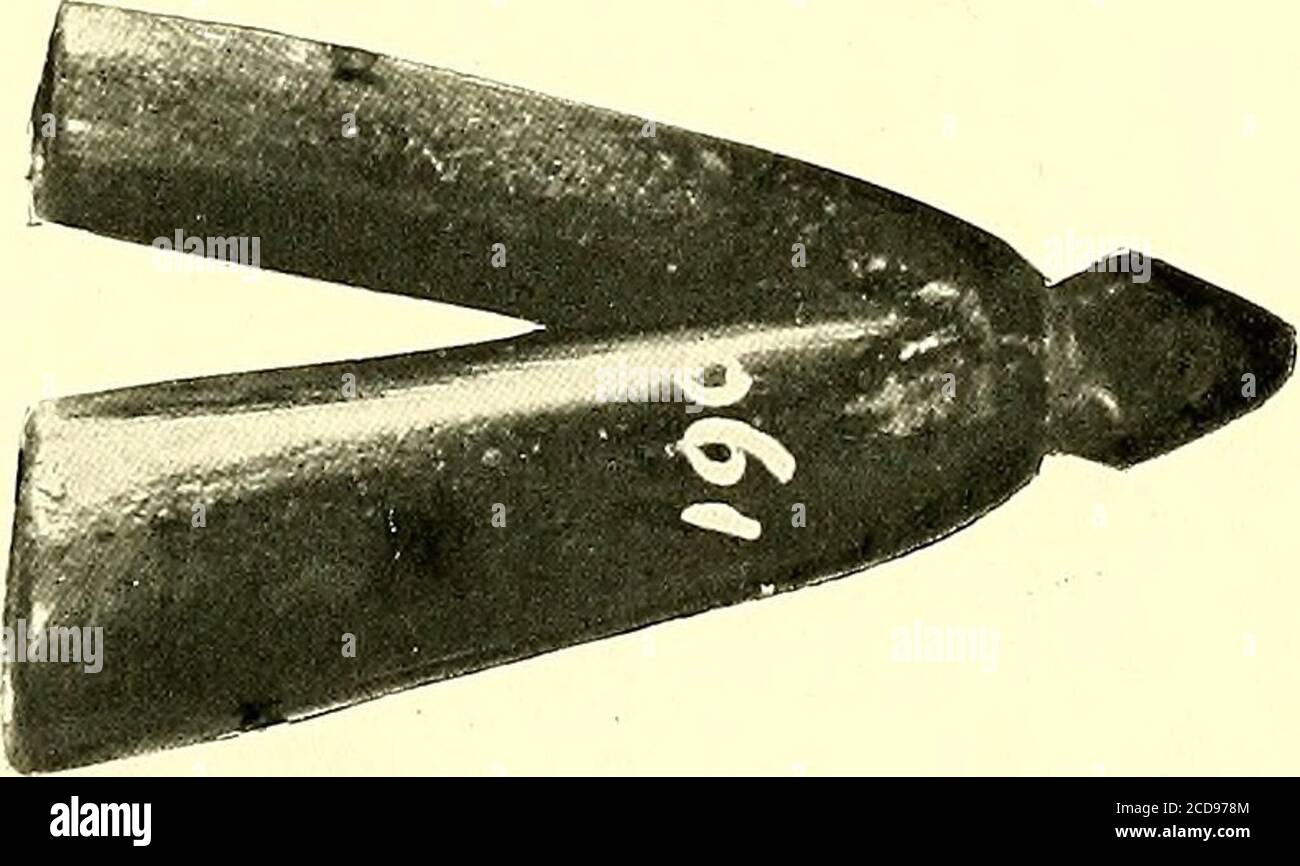 Social_structure hi-res stock photography and images - Alamy