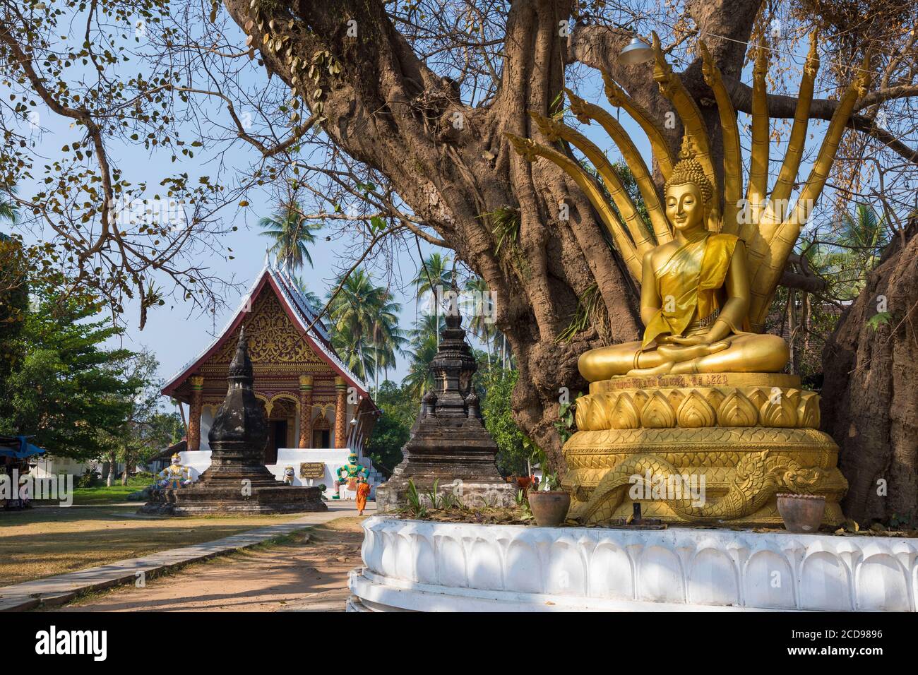 Laos, Luang Prabang, Vat Aham, Buddha protected by the Naga Stock Photo ...