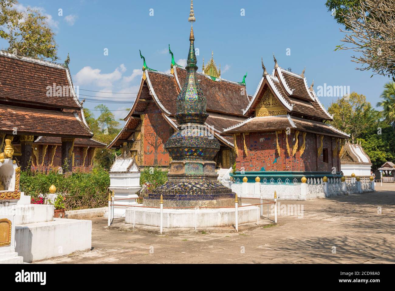 Thong tree hi-res stock photography and images - Alamy