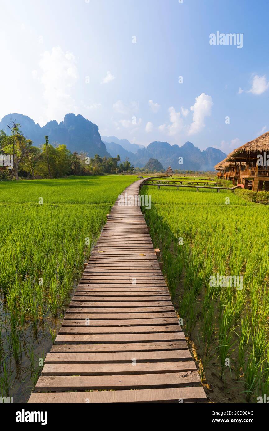 Lao, Vientiane Province, Vang Vieng, rice field, Karstic Mountains in ...