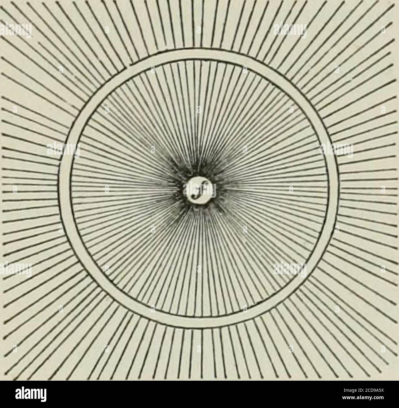 Fresnel lens i hi-res stock photography and images - Alamy