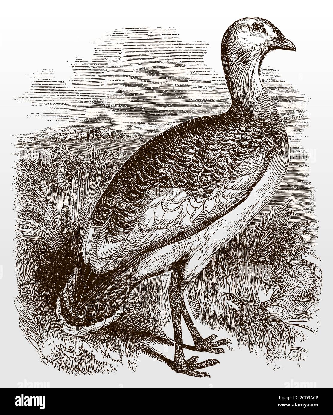 Otis Stock Vector Images - Alamy