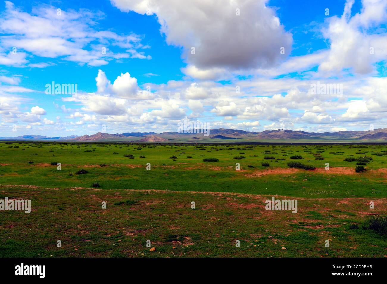 Mongolia steppe landscape of infinite grasslands under beautiful cloud ...