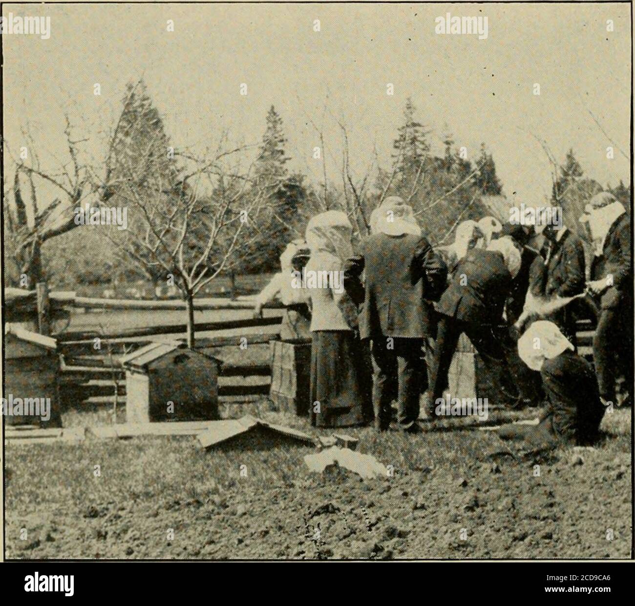 Bee fanning hive hi-res stock photography and images - Alamy