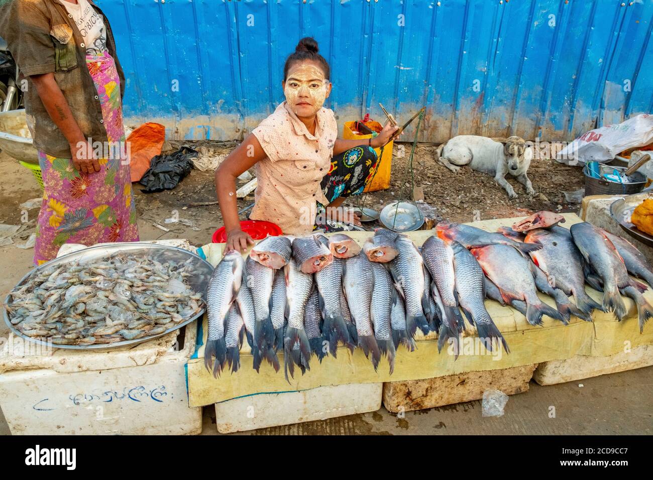 Myanmar (Burma), Yangon, the village of Dalah Stock Photo - Alamy