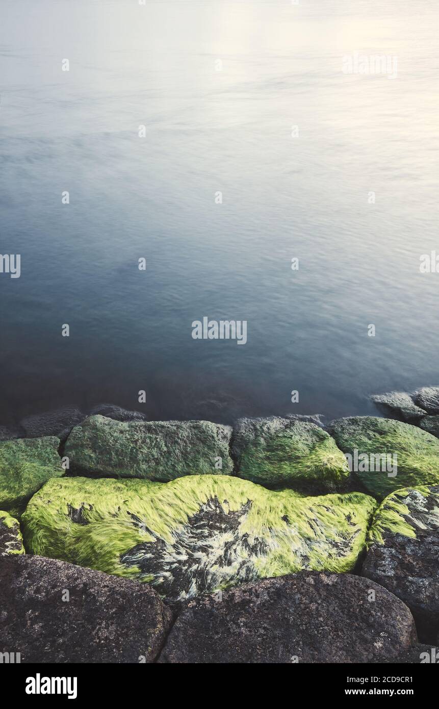 Rocks covered with green algae in water, long exposure picture Stock ...