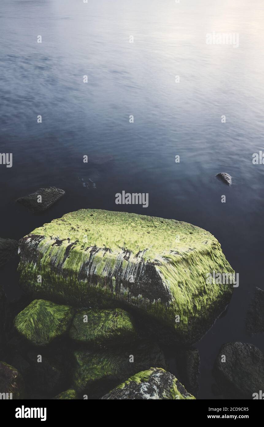 Algae river hi-res stock photography and images - Alamy