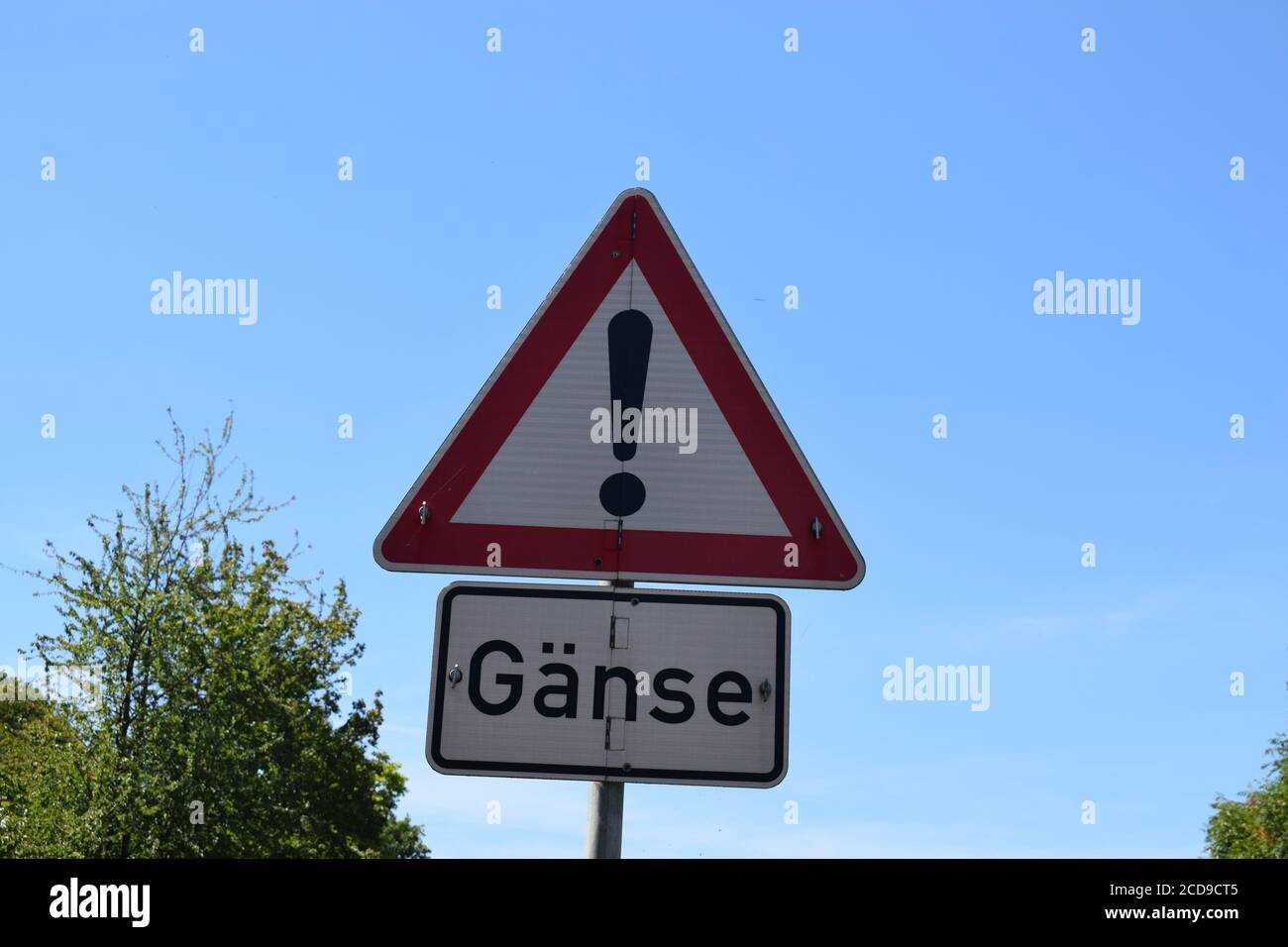 Goose Warning Traffic Sign High Resolution Stock Photography and Images ...