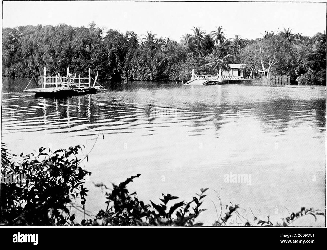 Nariva river hi-res stock photography and images - Alamy