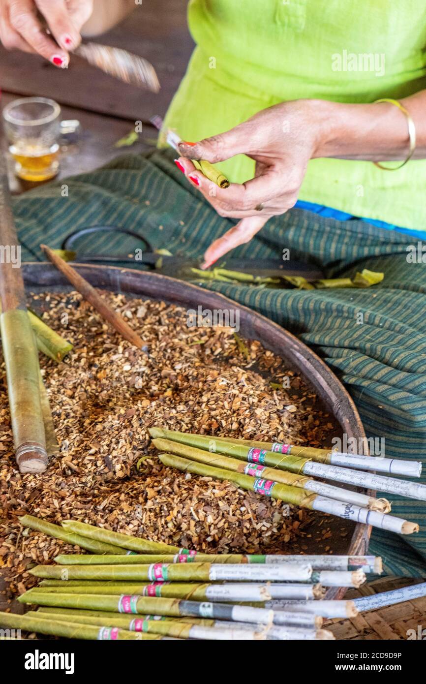 Myanmar (Burma), Shan State, Inle Lake, manufacture of Cheerot or cigar ...