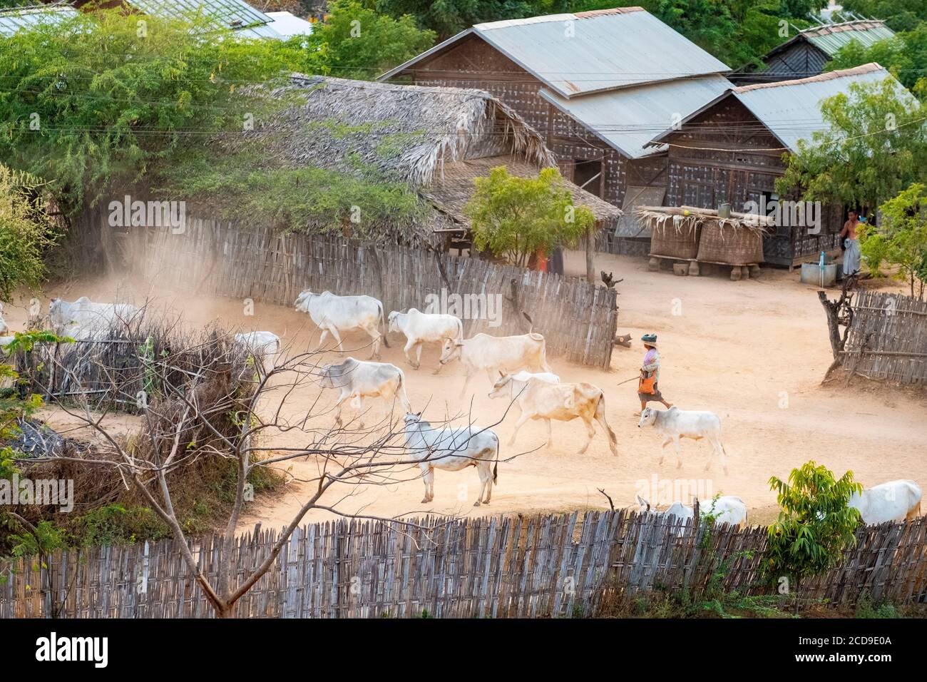 Myanmar village bagan village hi-res stock photography and images - Alamy