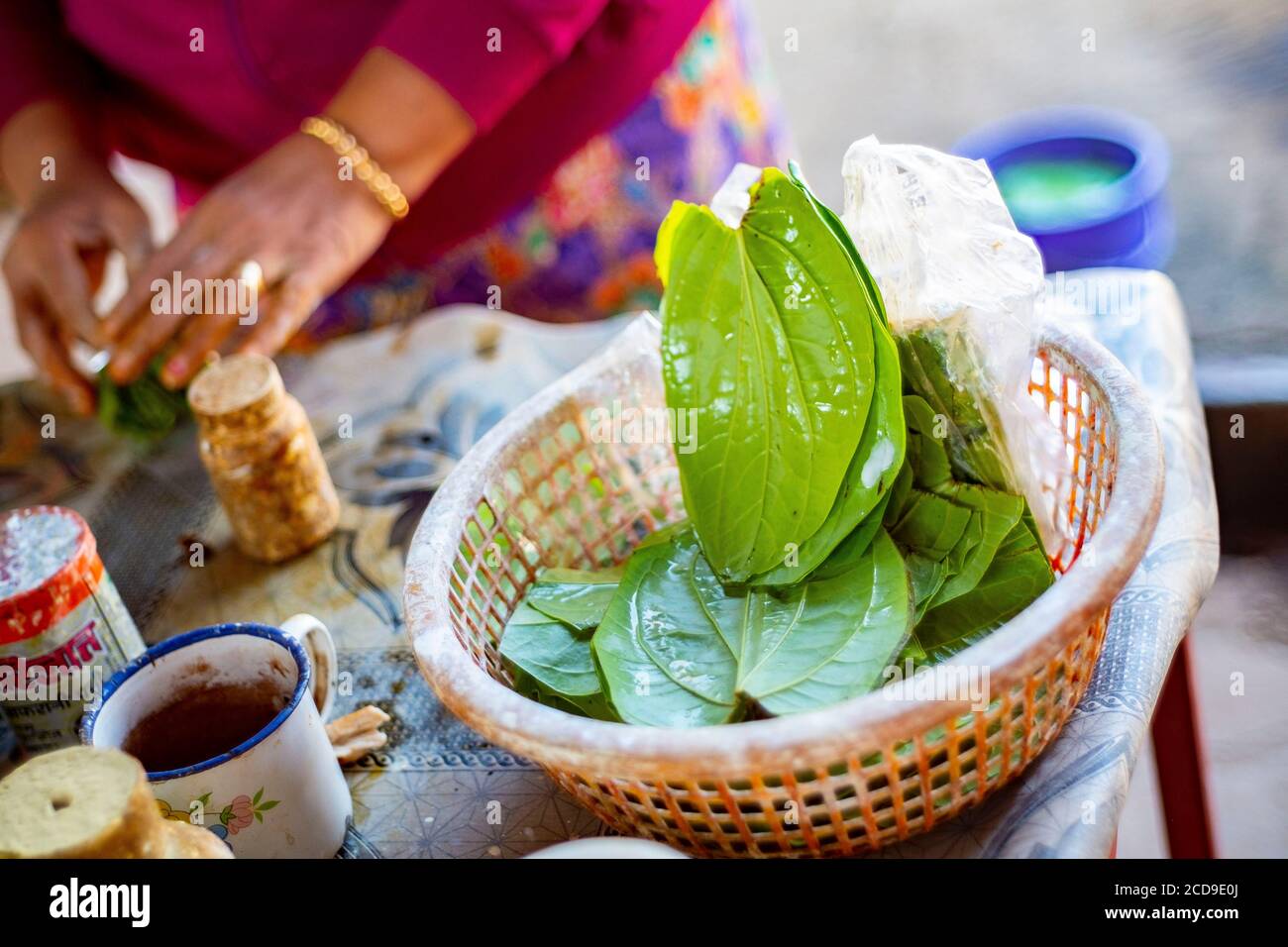 Betel plant leaves hi-res stock photography and images - Alamy