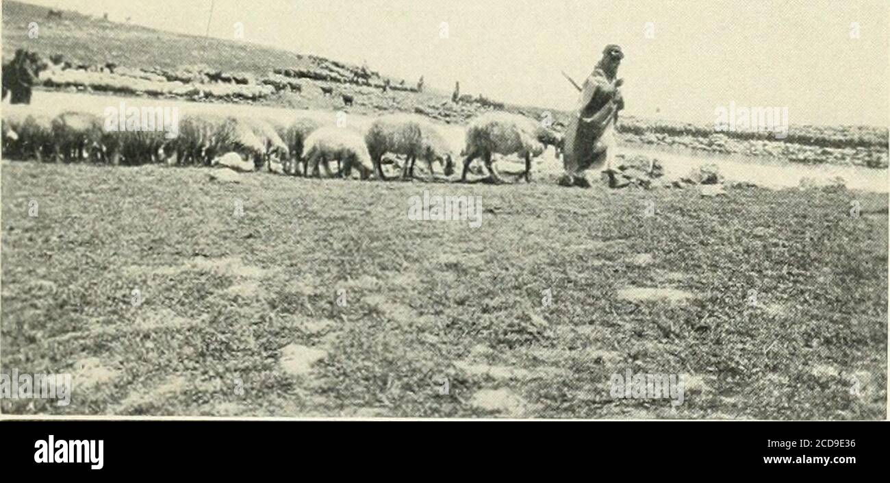 . Palestine and its transformation . ^1 ^SsiiiU^. ,;?jew«^ WOMEN OF ...