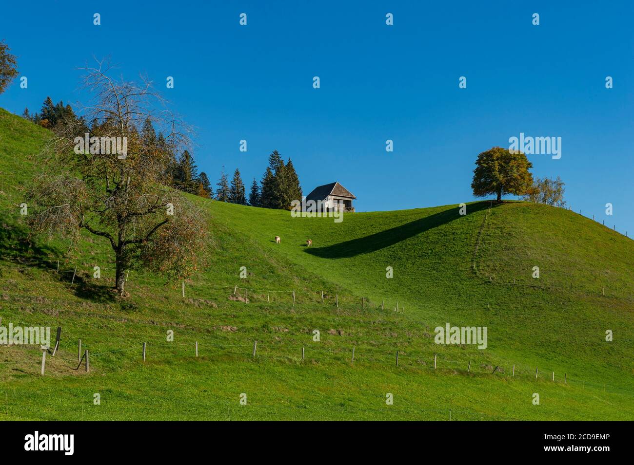Trub hi-res stock photography and images - Alamy