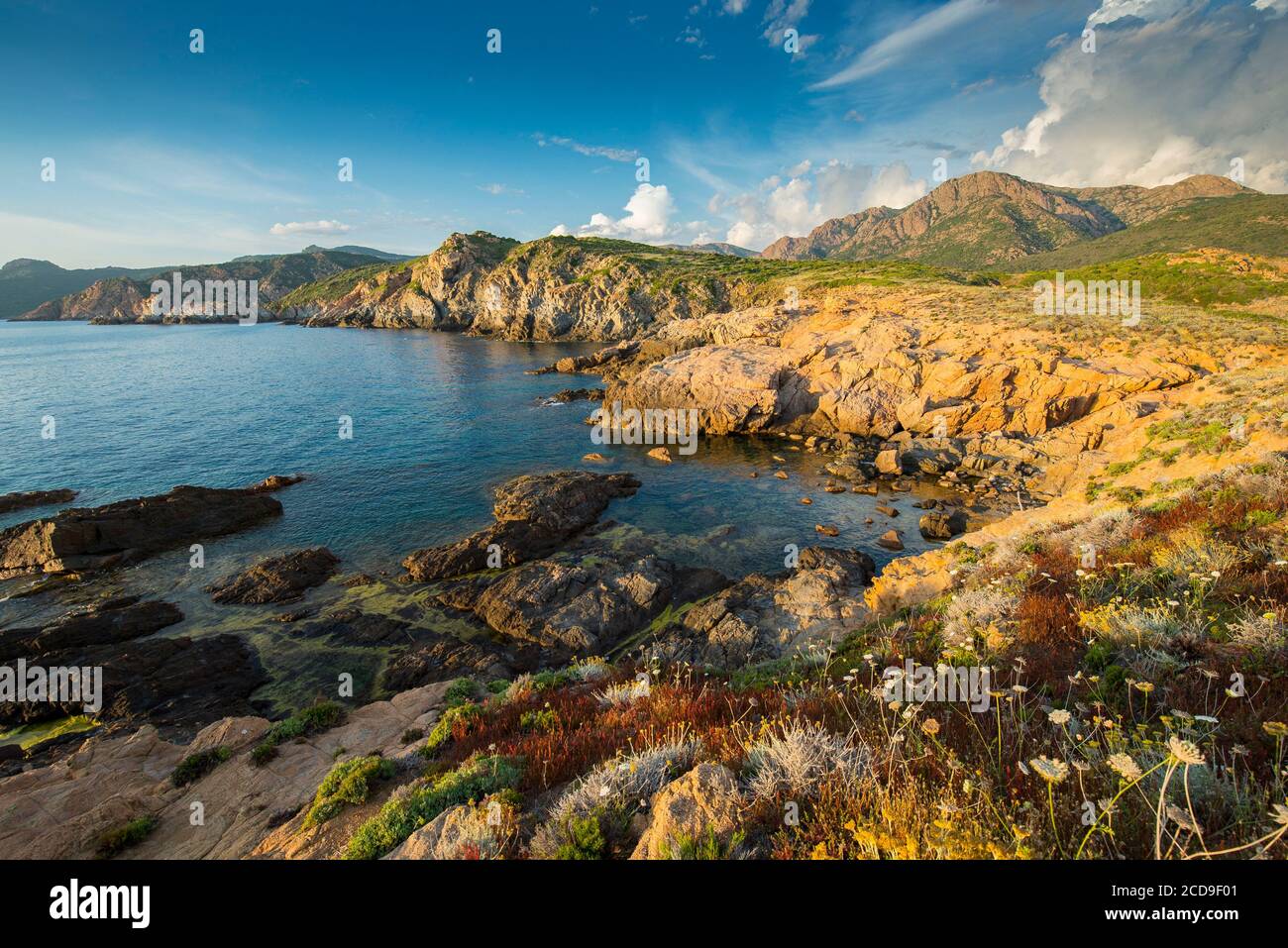 France, Corse du Sud, Porto, Gulf of Porto listed as World Heritage by ...