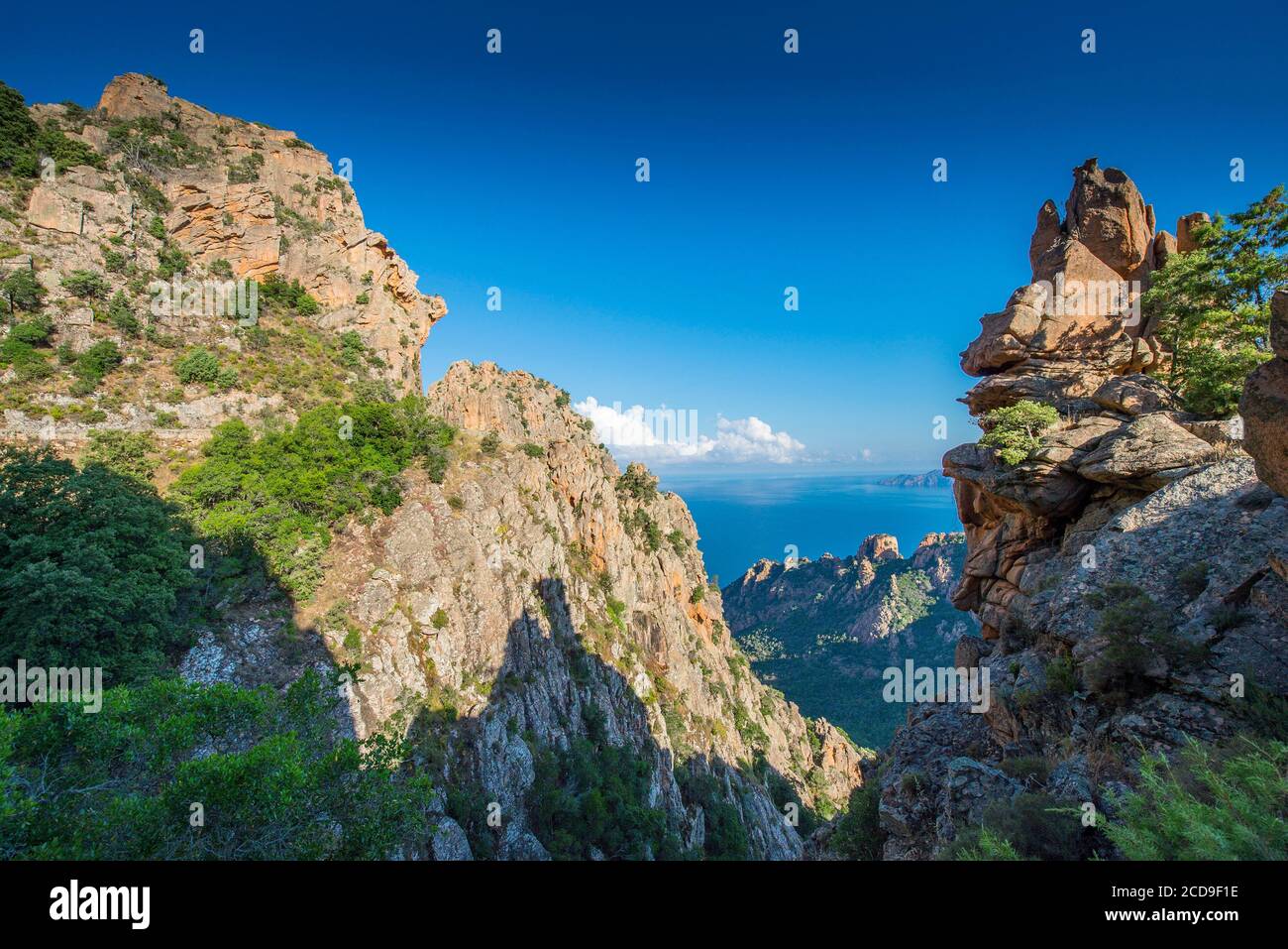 France, Corse du Sud, Porto, Gulf of Porto listed as World Heritage by ...