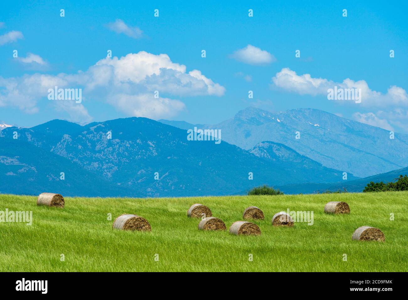 Ghisonaccia hi-res stock photography and images - Alamy
