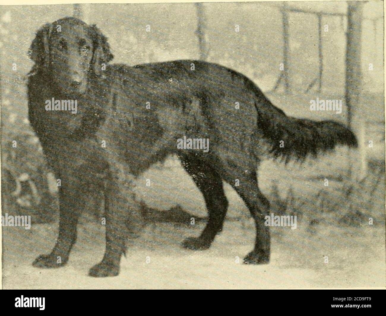 Tamped down hi-res stock photography and images - Alamy