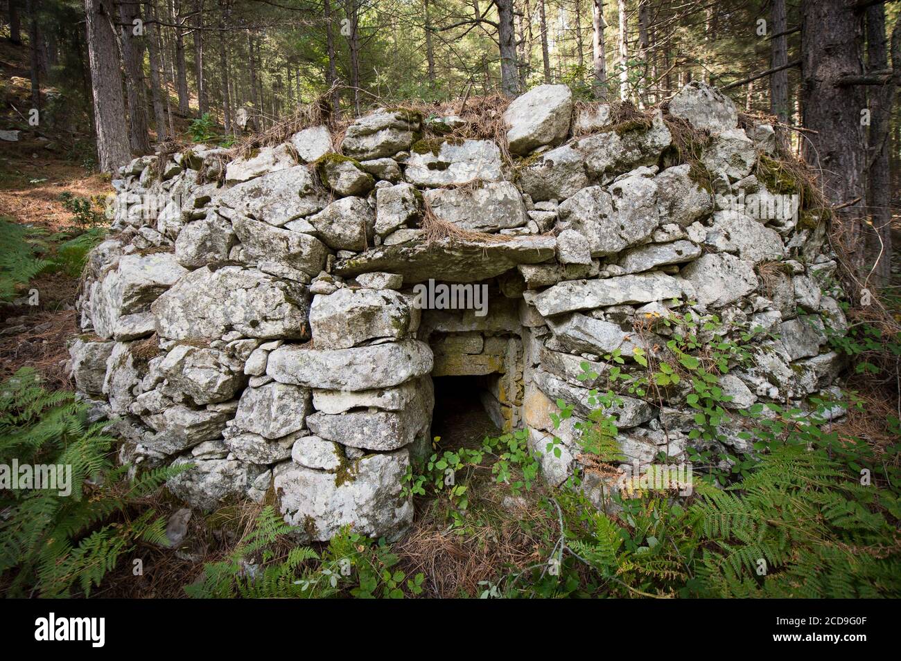 Semi dome hi-res stock photography and images - Alamy