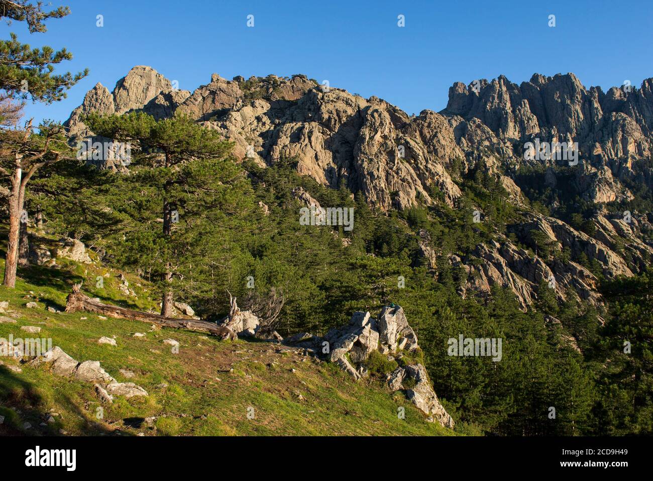 France, Corse du Sud, Alta Rocca, Bavella Pass and the Bavella Needles ...