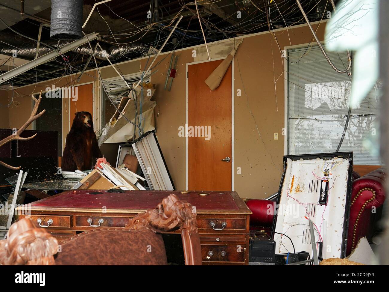 Laura bear hi-res stock photography and images - Alamy