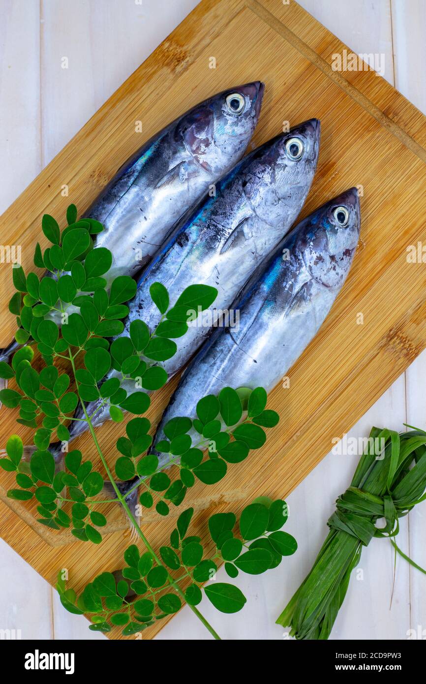 Fresh sea sardine and greenery on white wooden background, sea food ...