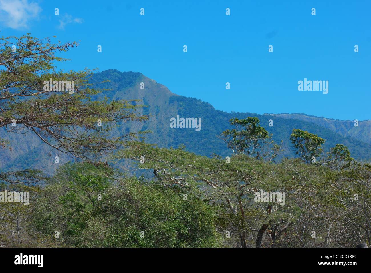 Scenic shot of Mount Baluran from Baluran National Park in Java ...