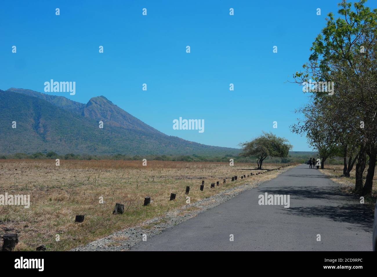 Scenic shot of Mount Baluran from Baluran National Park in Java ...