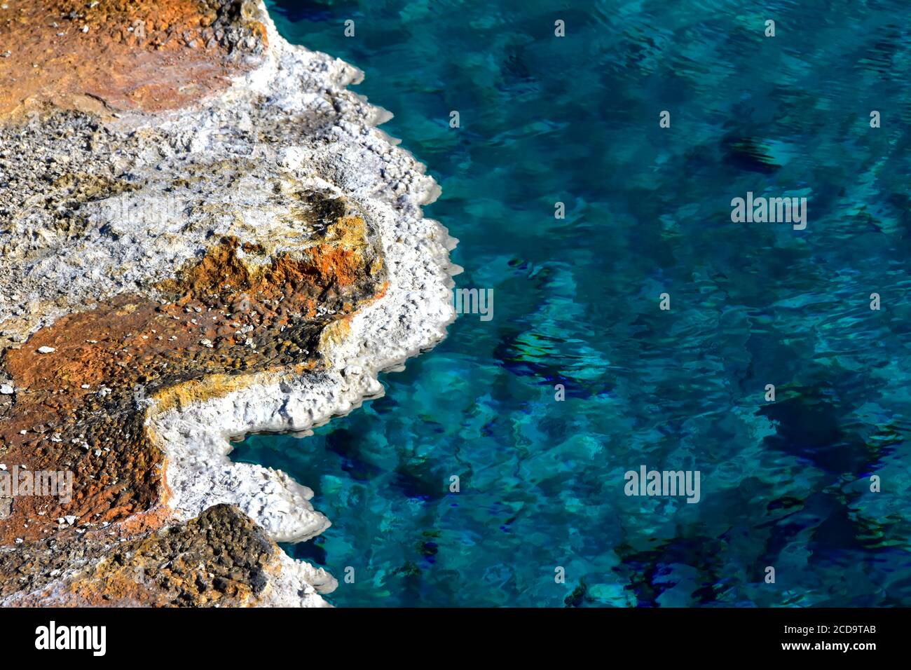 Blue star spring hi-res stock photography and images - Alamy