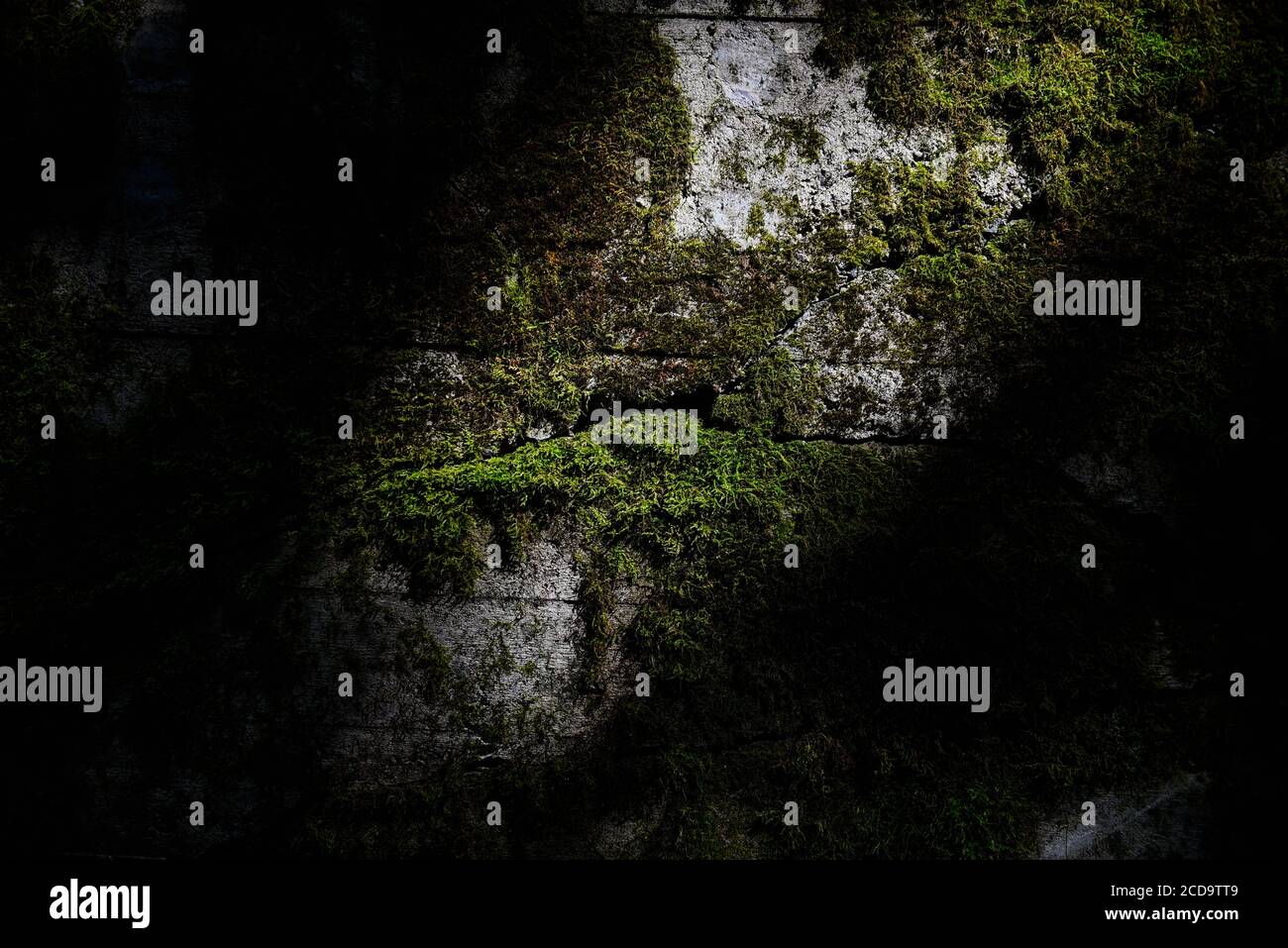 Sun light lays on a broken wall of destroyed bunker which served as a ...