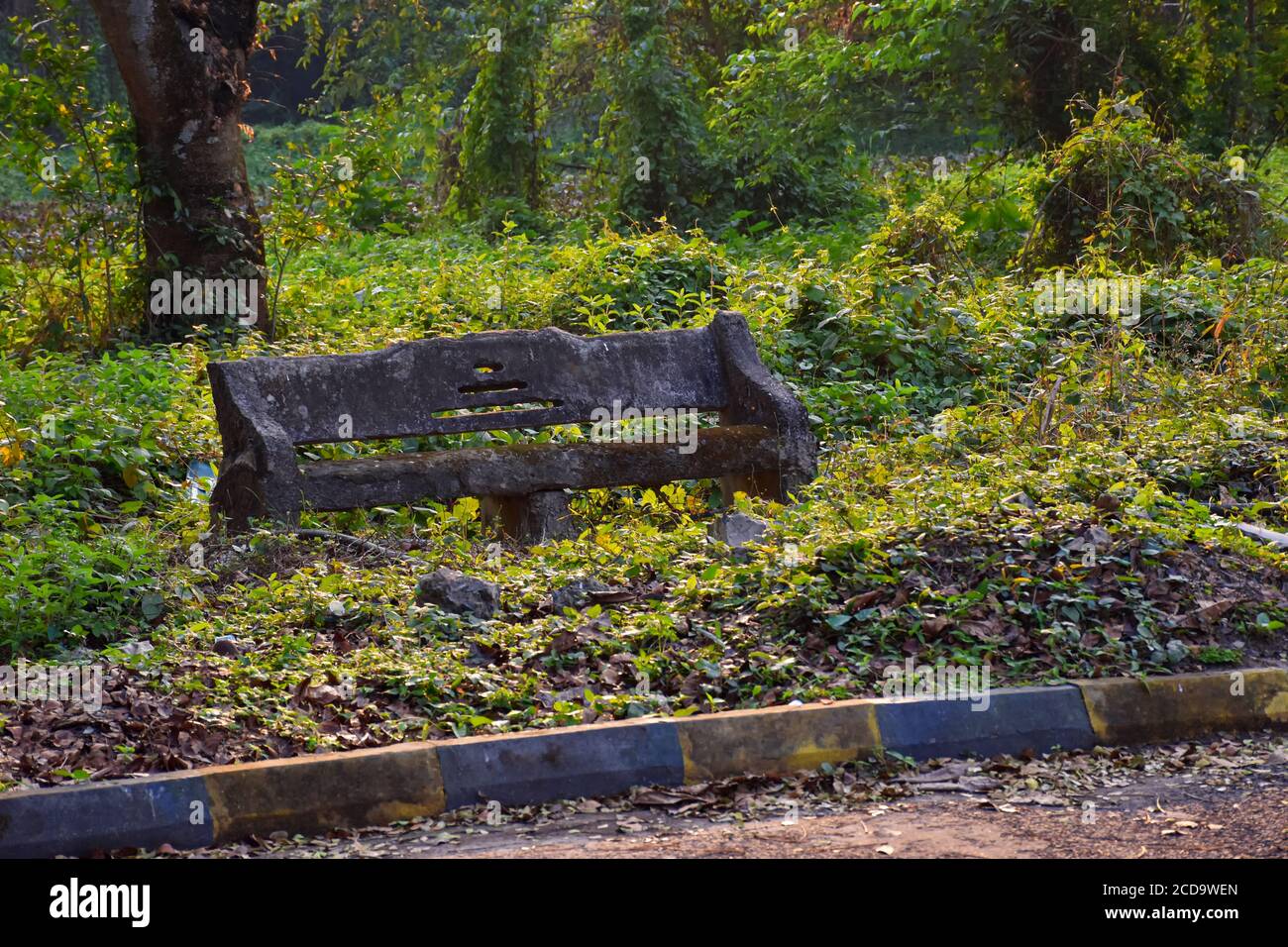 Abandoned cement bench covered with moss on the footpath at Indian ...