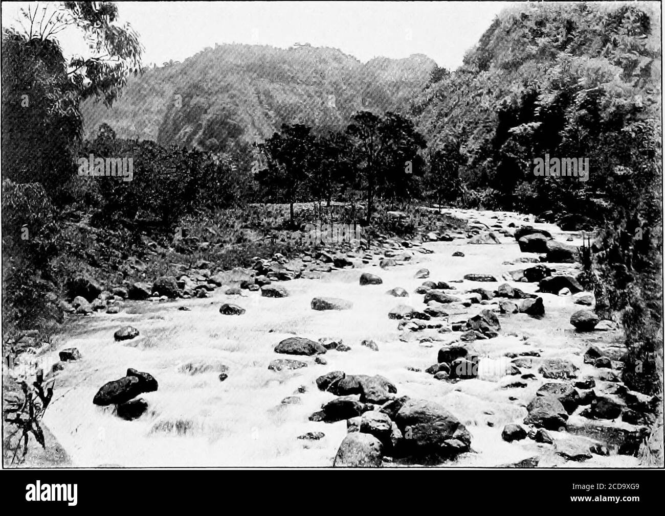 Caribs hi-res stock photography and images - Alamy