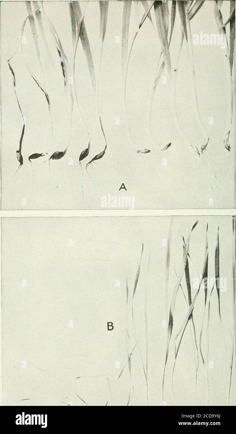 Heat discoloration hi-res stock photography and images - Alamy