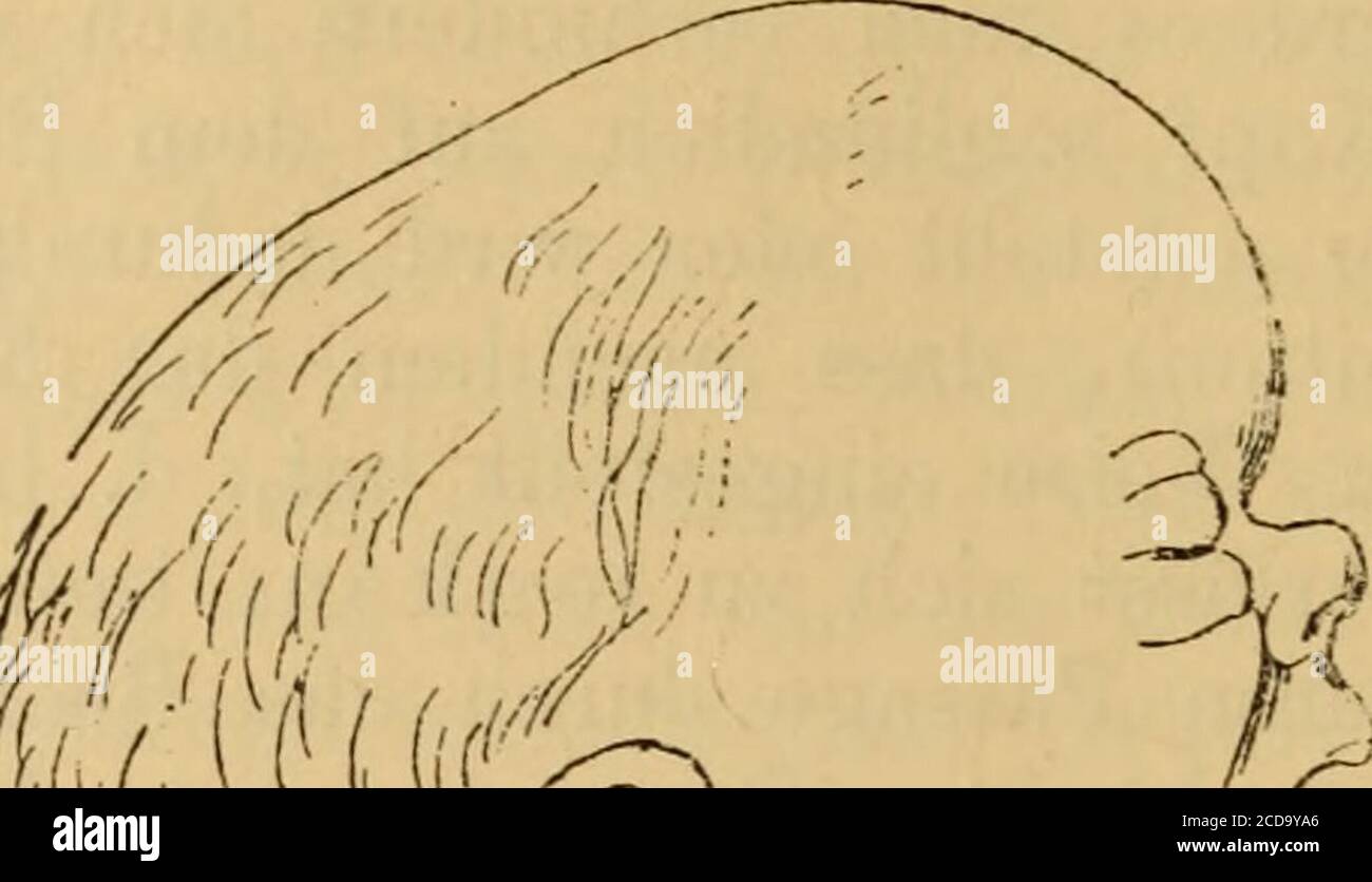 Zirten hi-res stock photography and images - Alamy