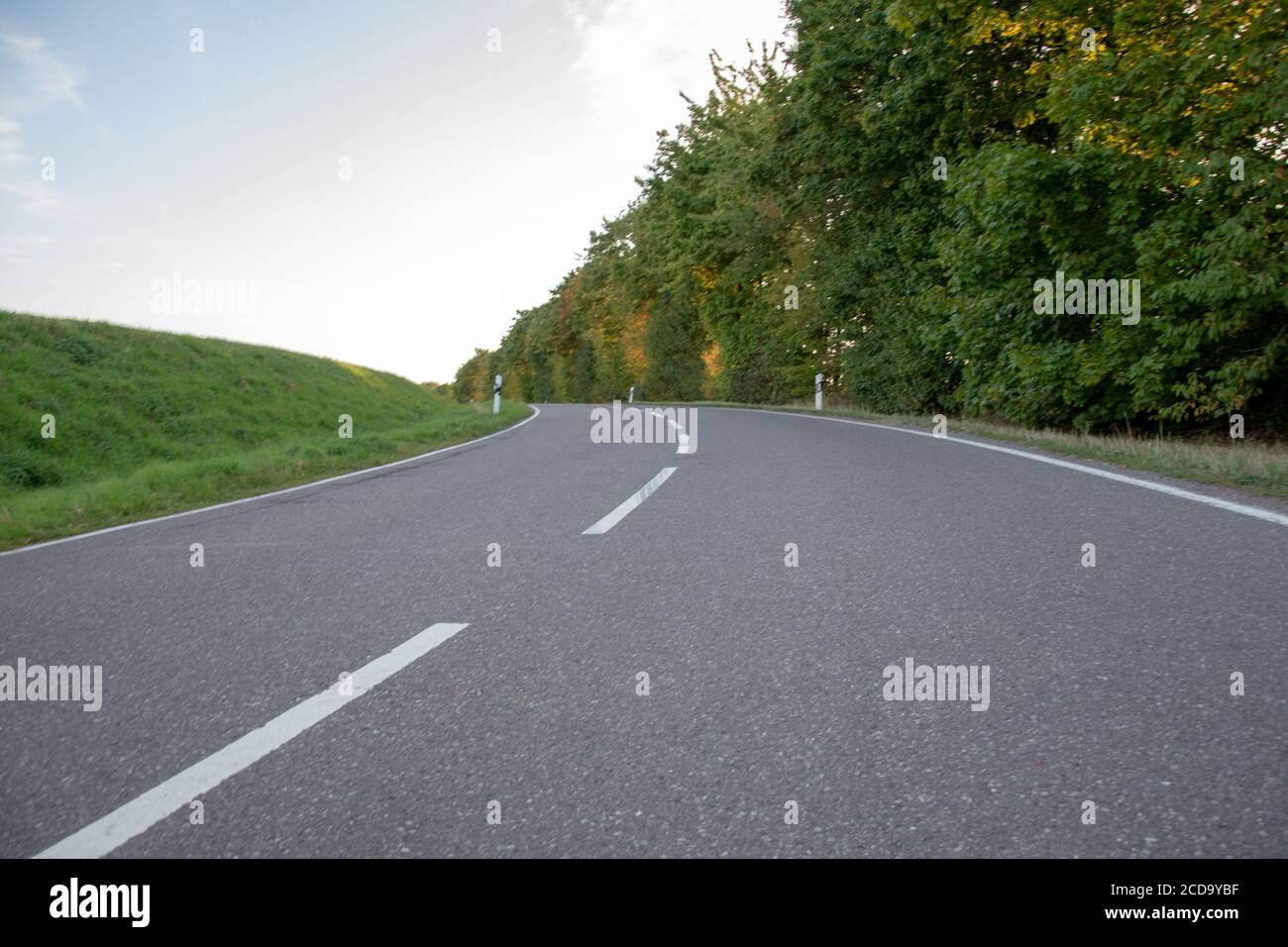 Shot of a road with trees alongside Stock Photo - Alamy