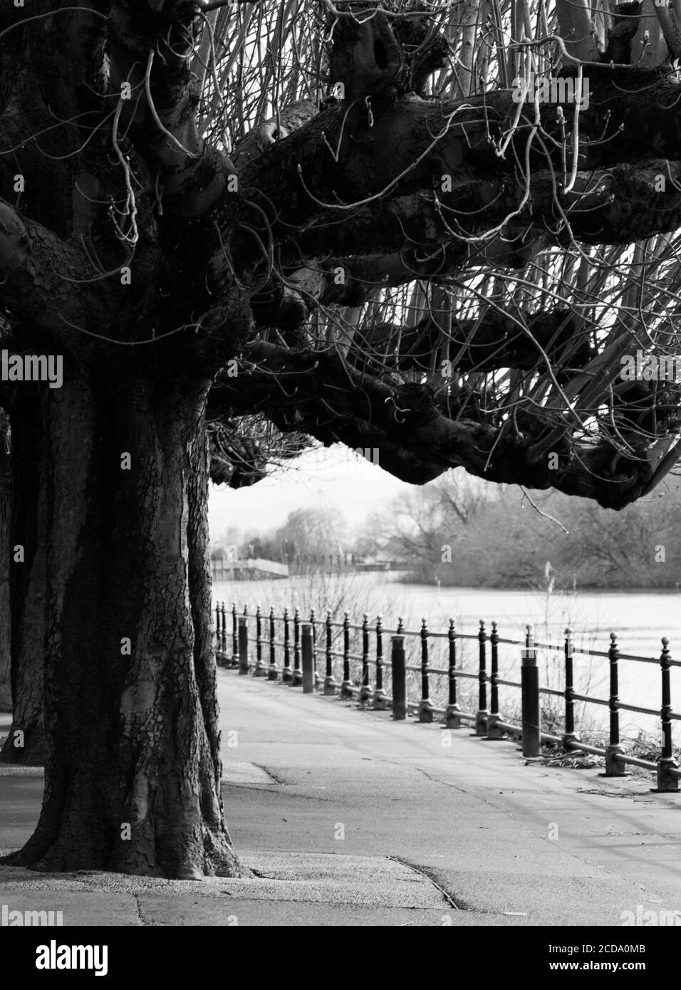 Severn way footpath Black and White Stock Photos & Images - Alamy