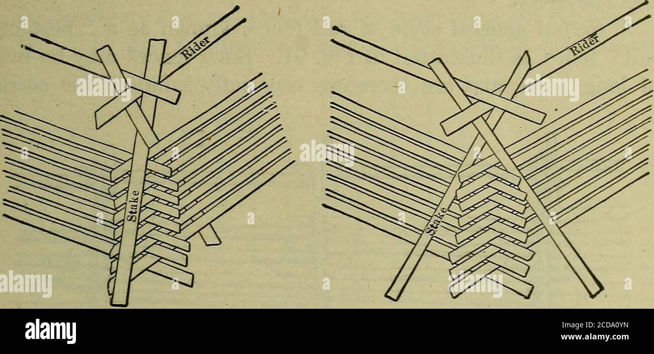 . Handbook for rangers & woodsmen . FiG. 89.—Worm rail fence. Method of ...