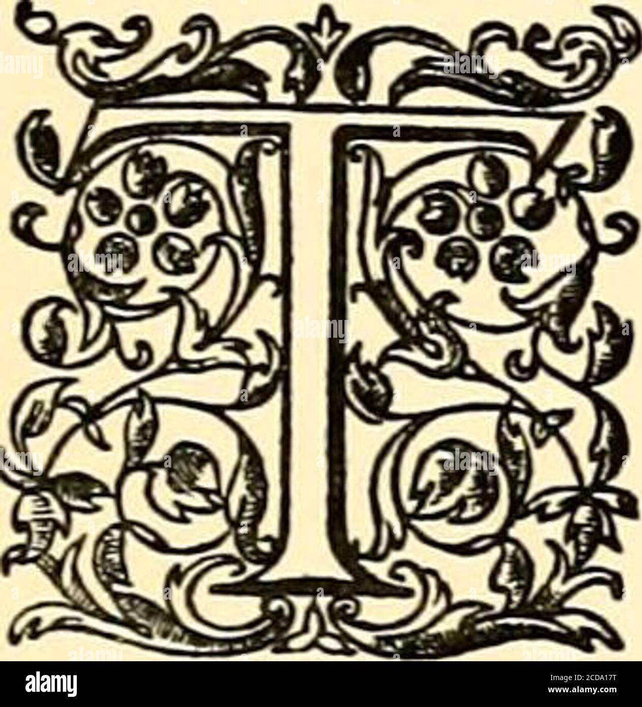 Marmion family hi-res stock photography and images - Alamy