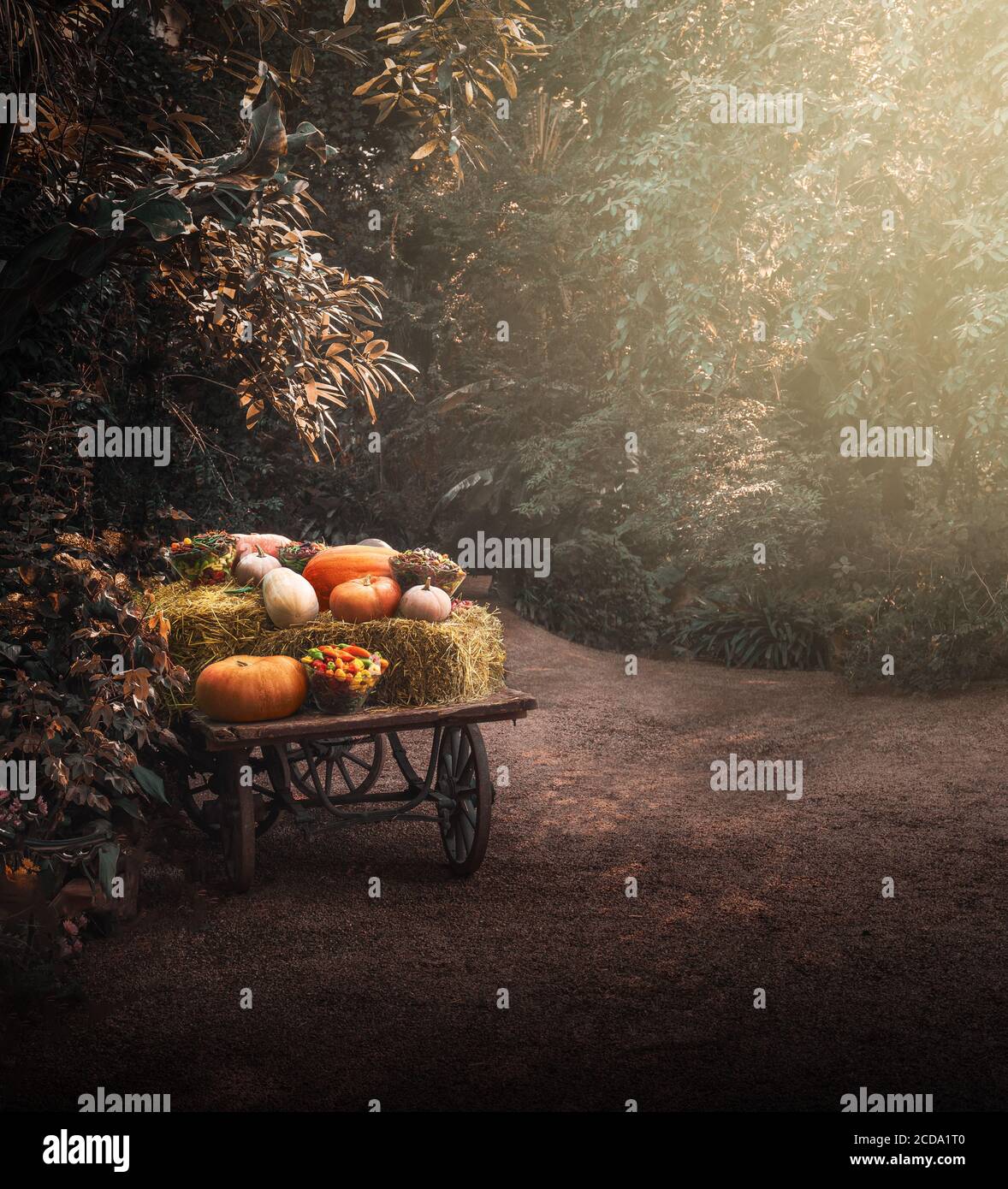 Cart of pumpkins hi-res stock photography and images - Alamy