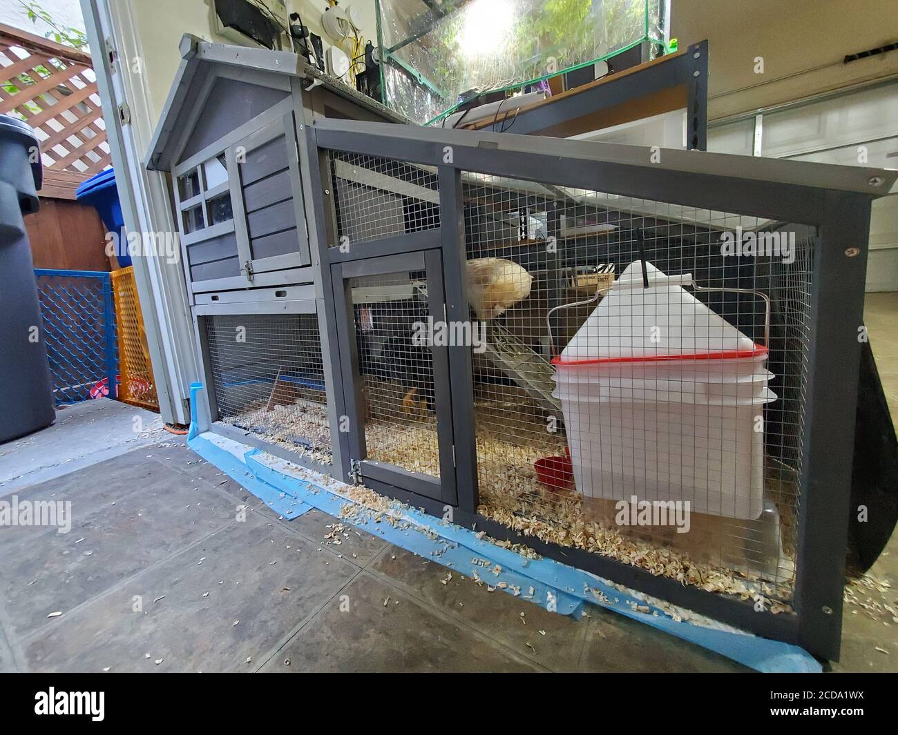 Wide angle of chicken coop for backyard chickens in suburban garage ...
