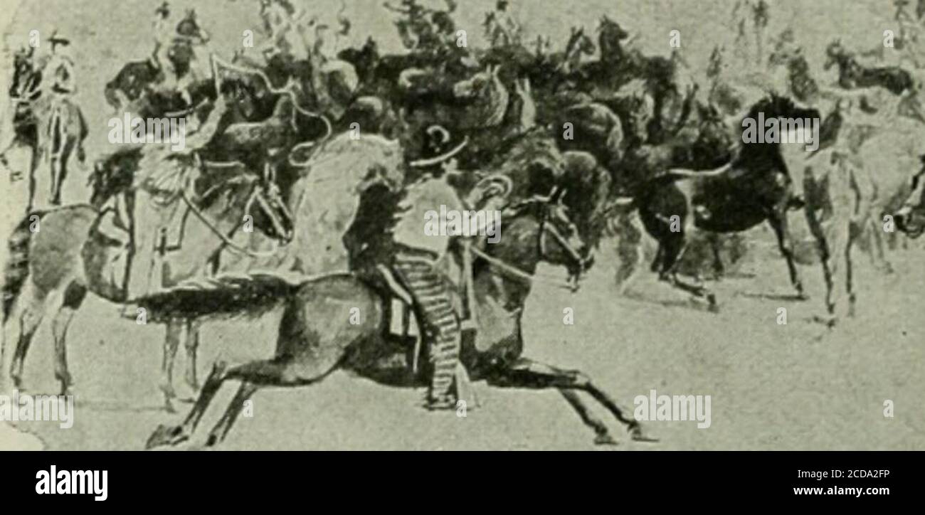 Descriptive text book hi-res stock photography and images - Alamy