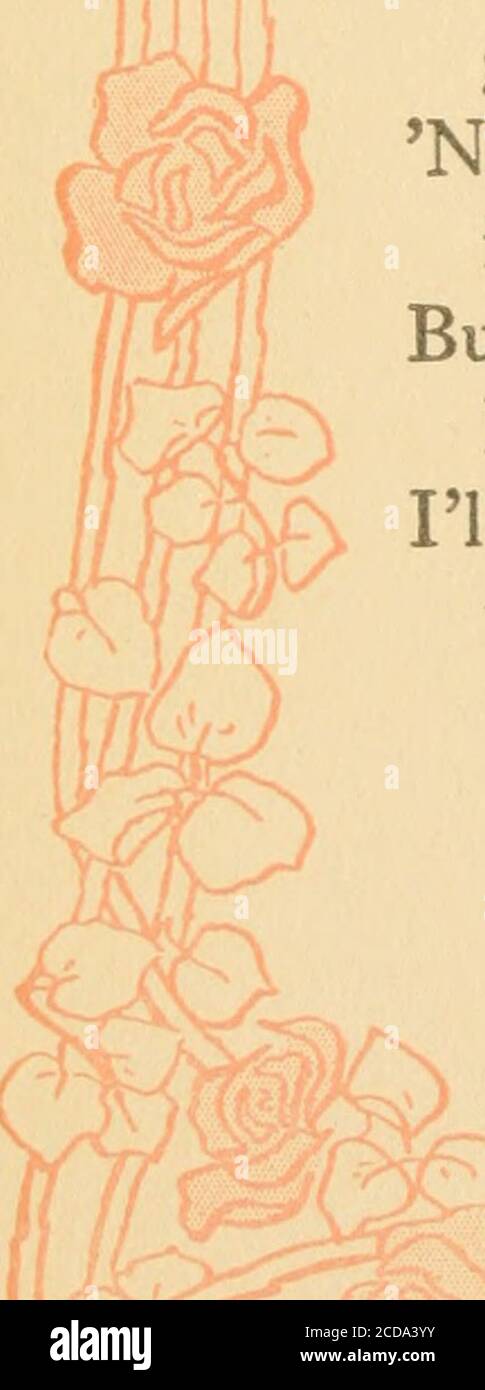 . Sunshine and roses . ^ Stock Photo - Alamy