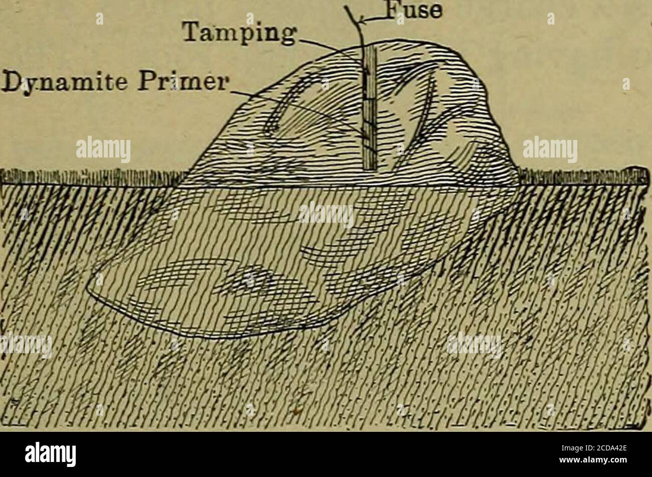 Stiff top cap hi-res stock photography and images - Alamy