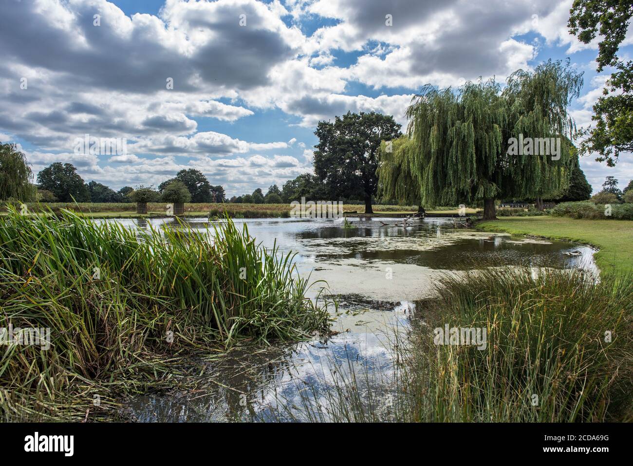 Beautiful large pond at Bushy Park Surrey Stock Photo - Alamy