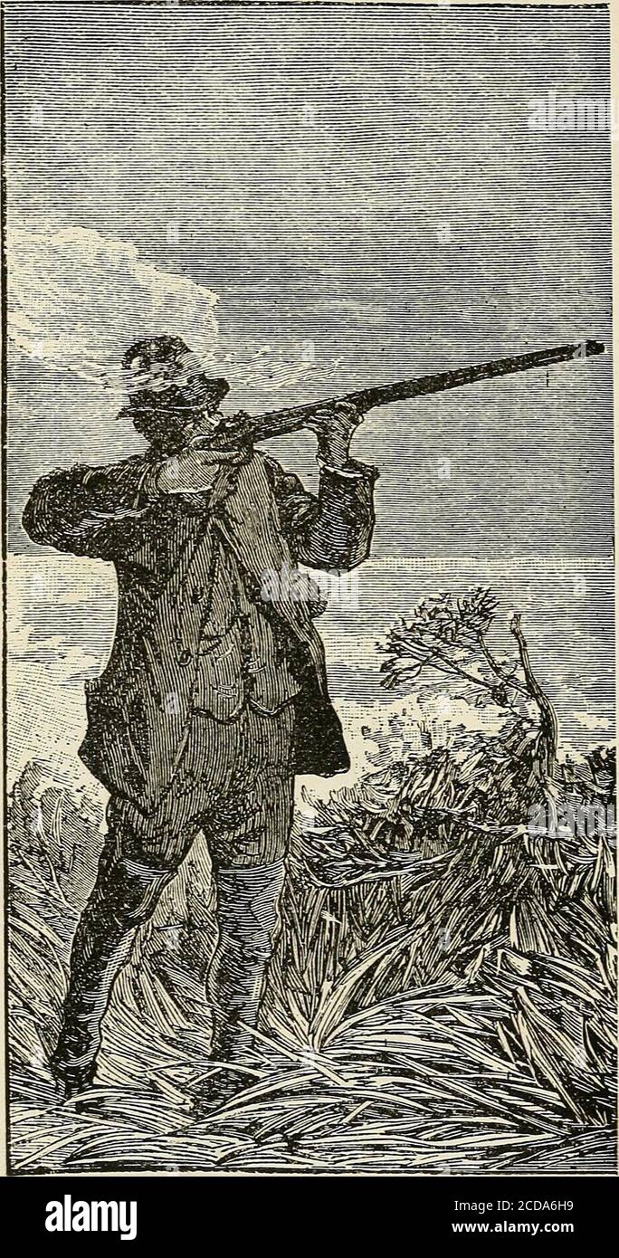 . The breech-loader and how to use it . 217 Showing greatest angle at ...