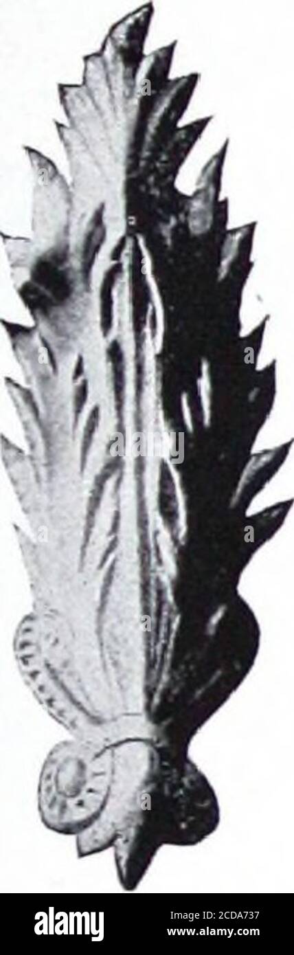 . Ceilings & Side Walls : Catalogue no 60 . Rococo Cornice No. 457 ...