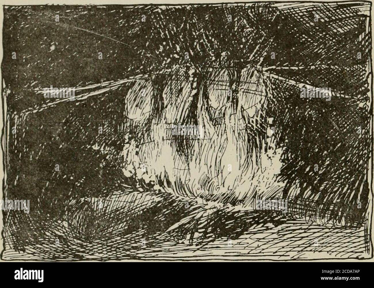 Taking an axe to a tree hi-res stock photography and images - Alamy