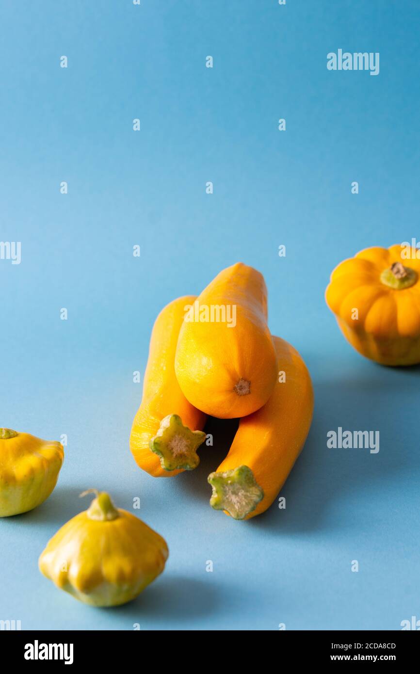 Fresh harvest of zucchini and pattypan squash, yellow squash and ...