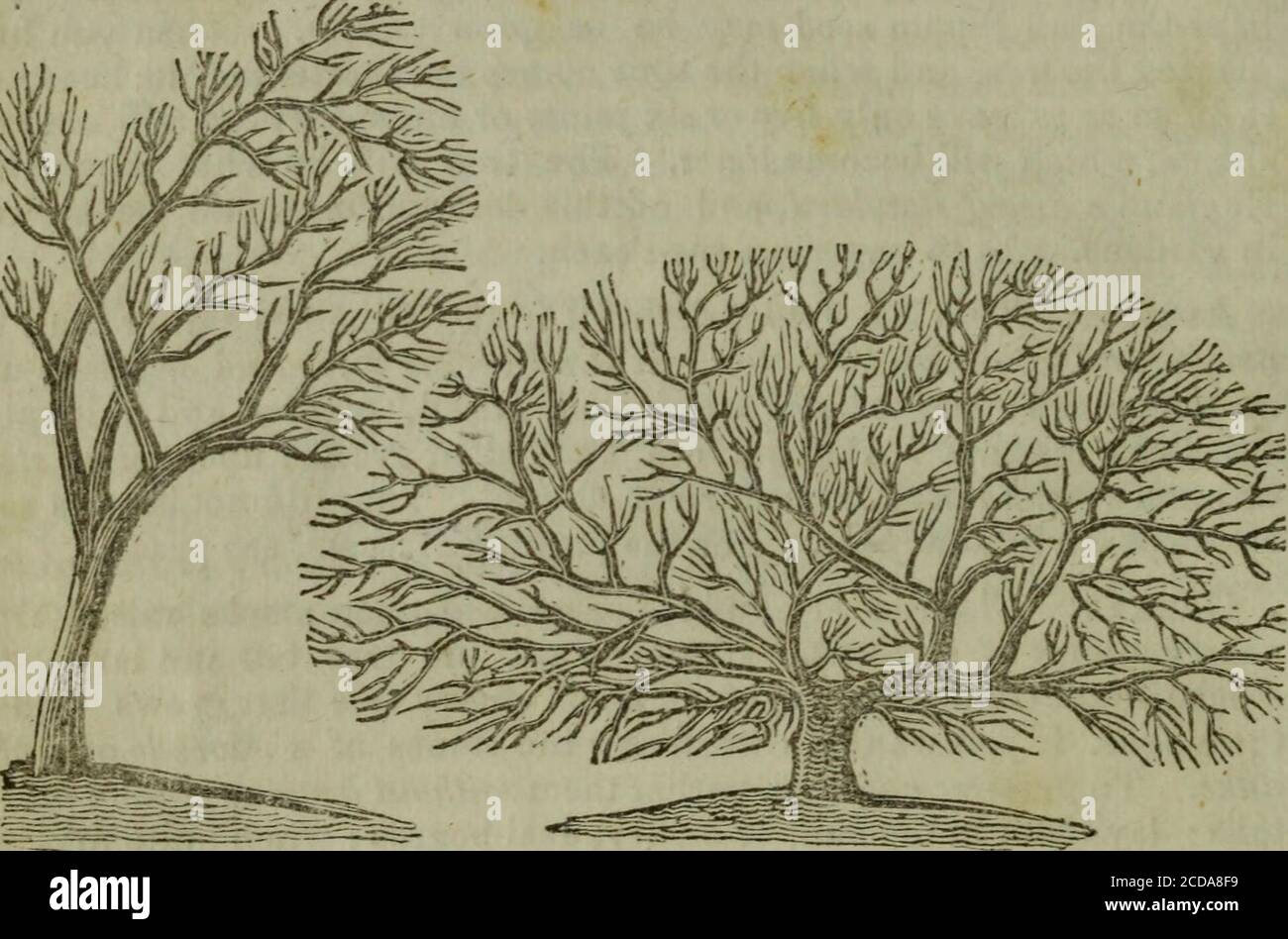 Layers of hell hi-res stock photography and images - Alamy